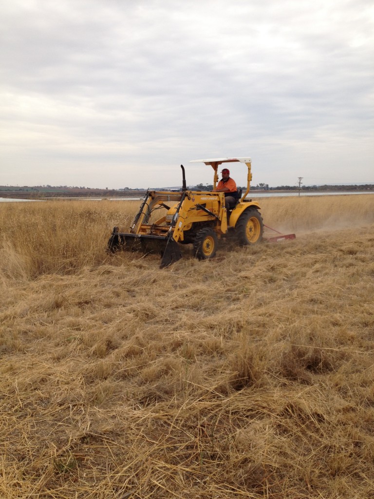Slashing / Mowing - Aus Eco Solutions