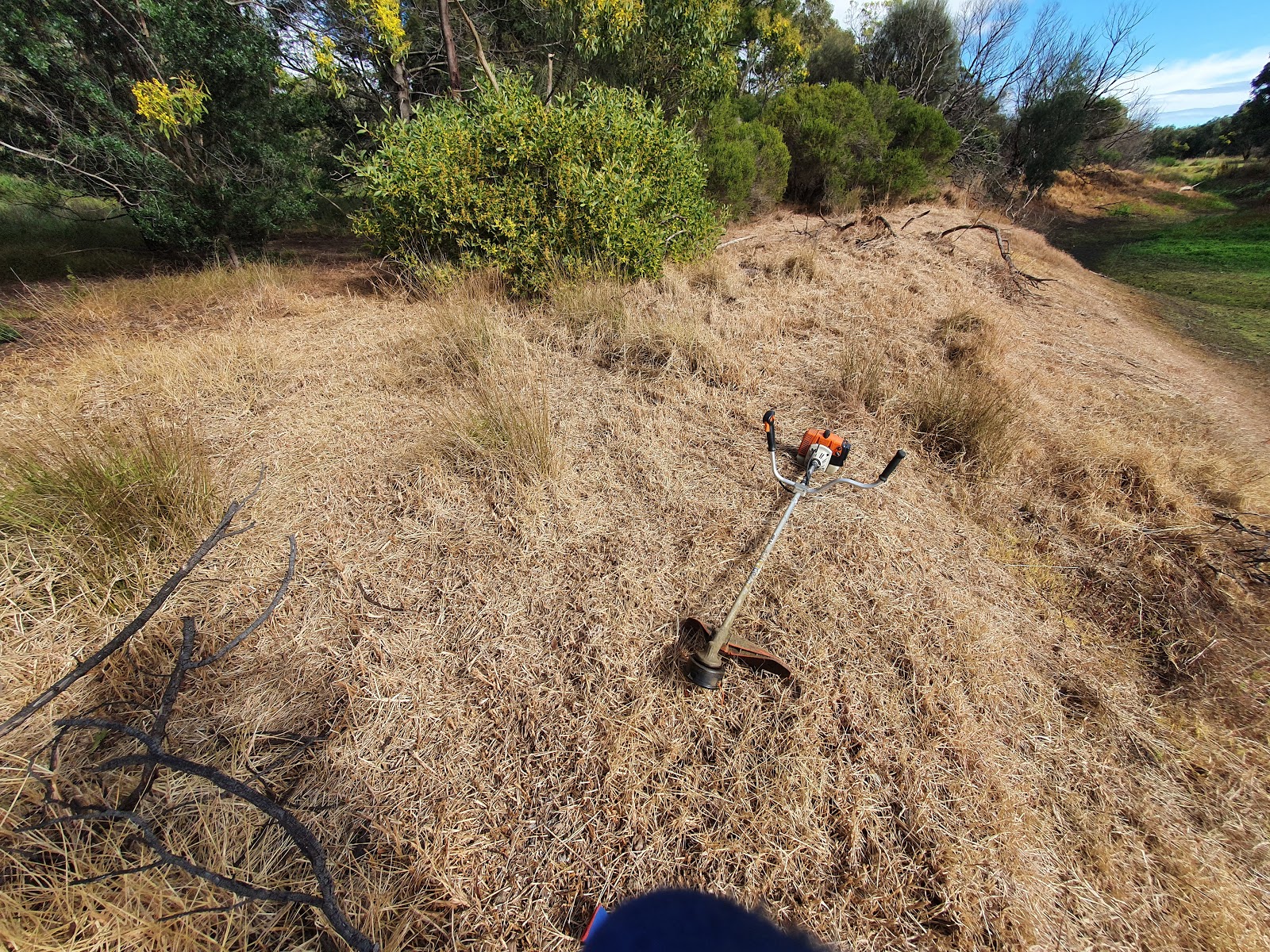 Restoring Riparian Coastal Vegetation - Aus Eco Solutions